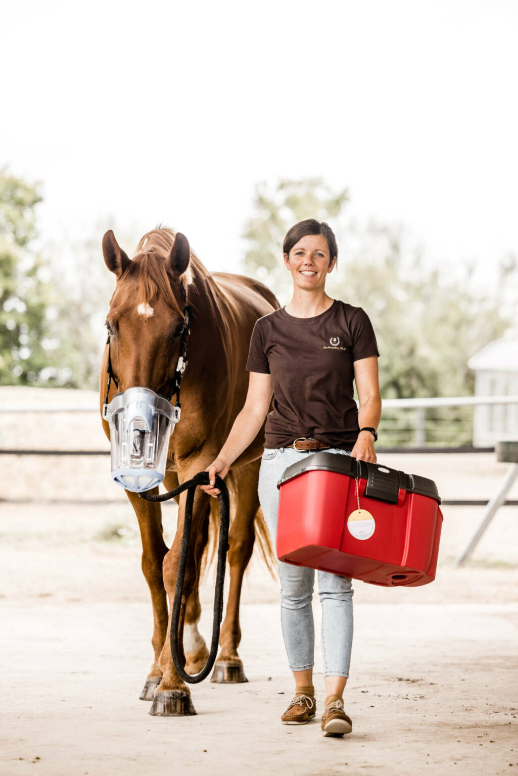 Kernkompetenz Pferd - Expertenwissen von Dr. Veronika Klein