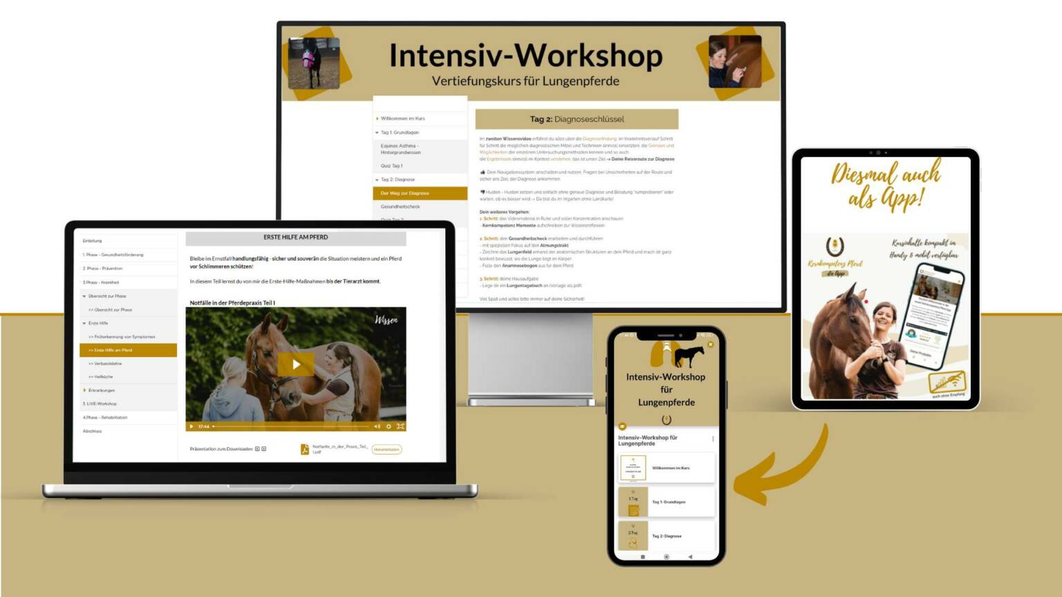 Intensiv-Workshop Lungenpferde