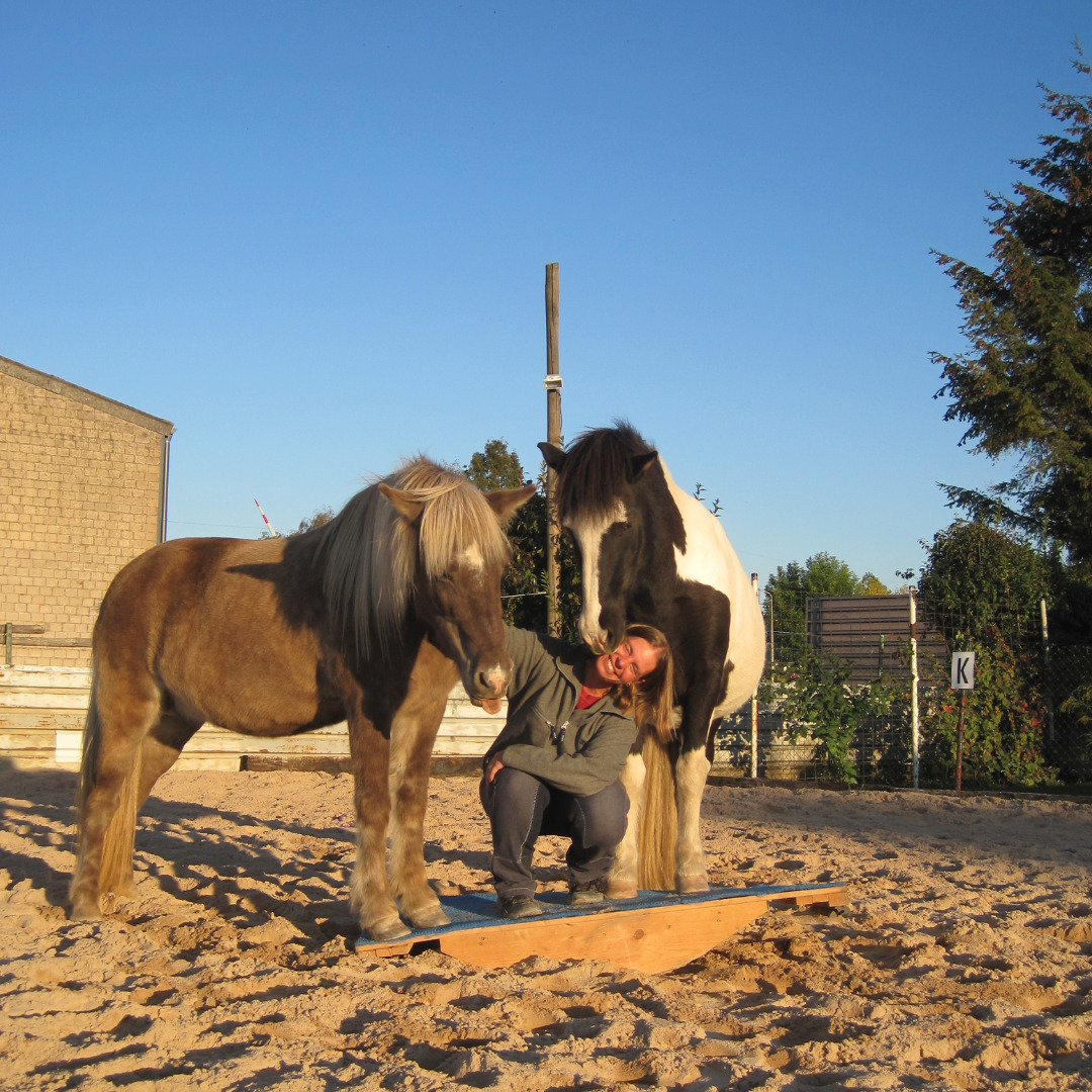 Kernkompetenz Pferd - Expertenwissen von Dr. Veronika Klein