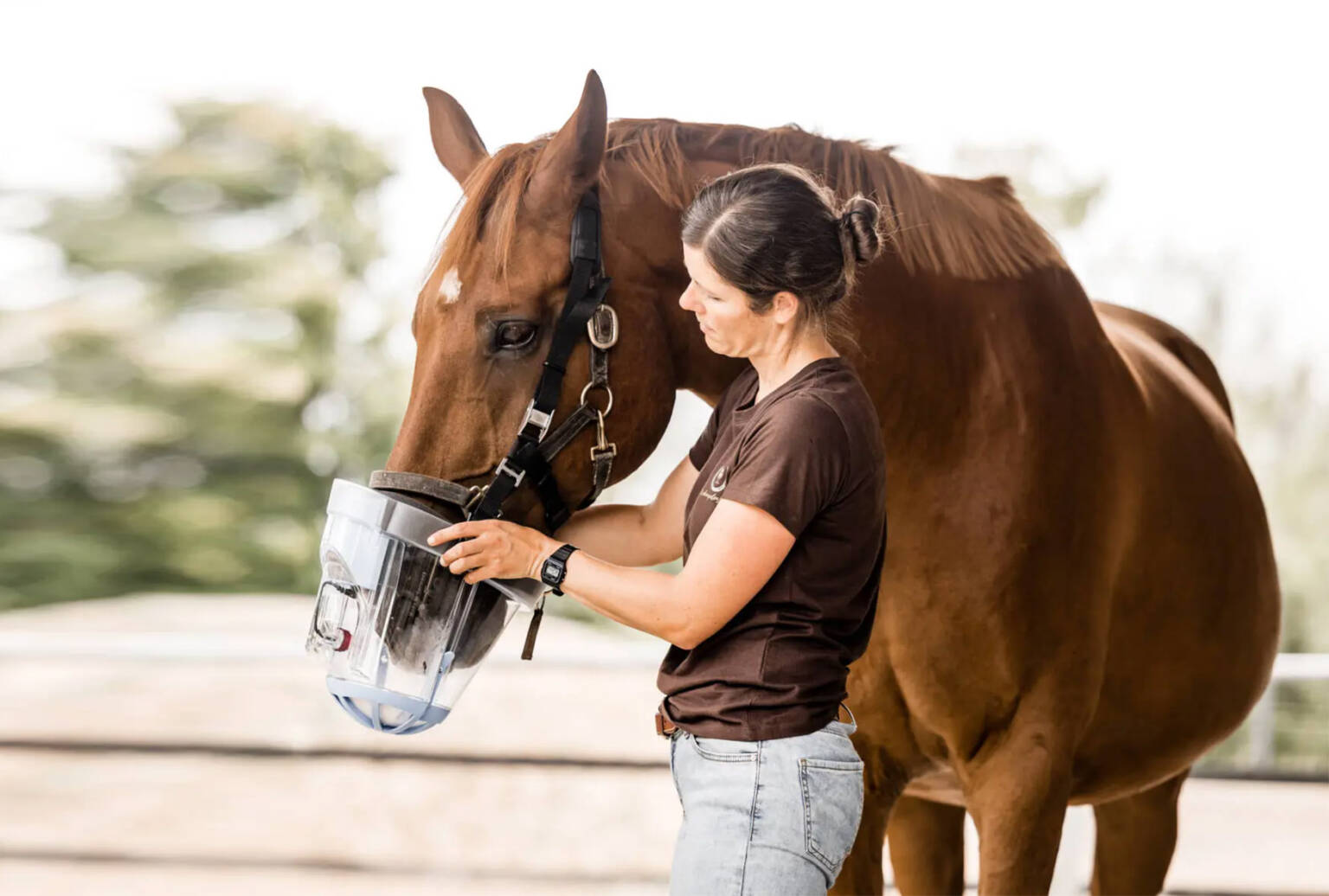 Intensiv-Workshop Lungenpferde