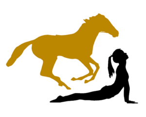 Kernkompetenz Pferd - Expertenwissen von Dr. Veronika Klein