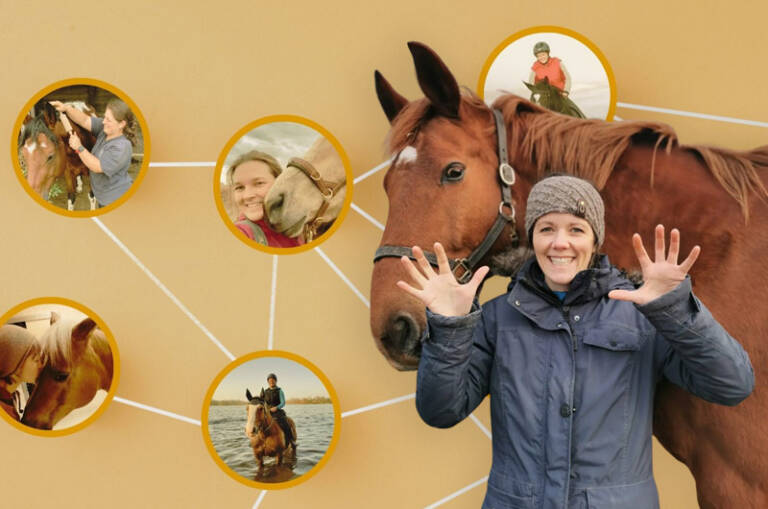 Kernkompetenz Pferd - Expertenwissen von Dr. Veronika Klein