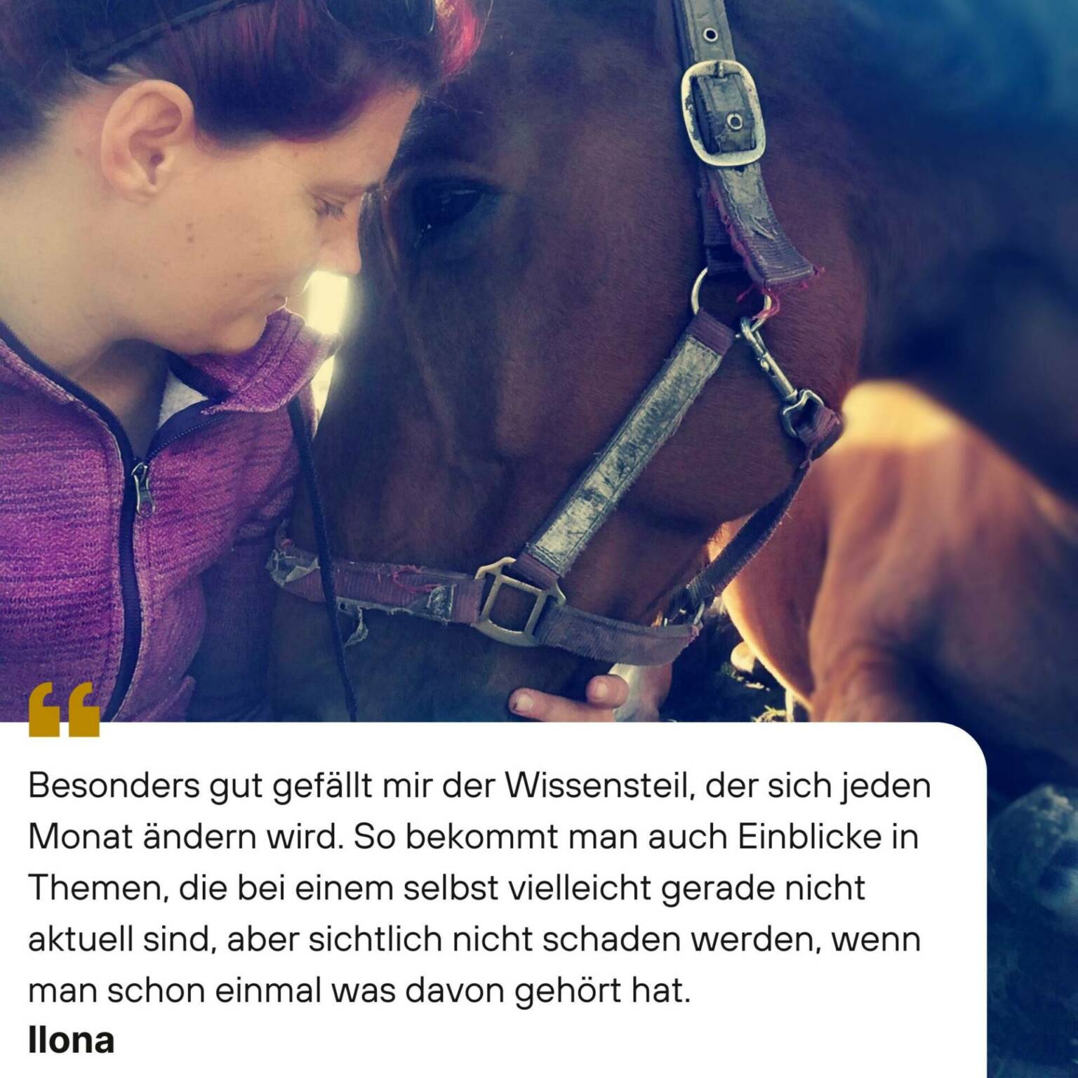 Kernkompetenz Pferd - Expertenwissen von Dr. Veronika Klein