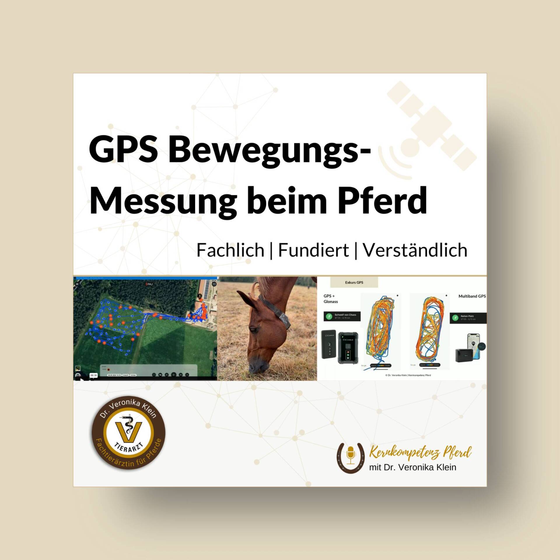 Kernkompetenz Pferd - Expertenwissen von Dr. Veronika Klein