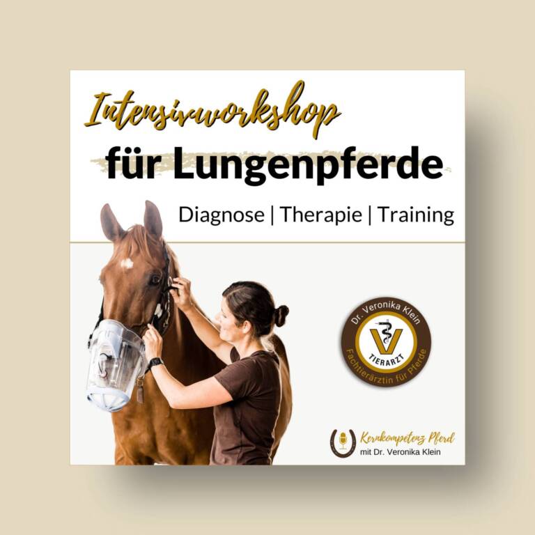 Kernkompetenz Pferd - Expertenwissen von Dr. Veronika Klein