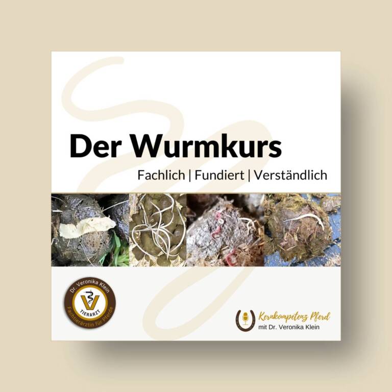 Kernkompetenz Pferd - Expertenwissen von Dr. Veronika Klein