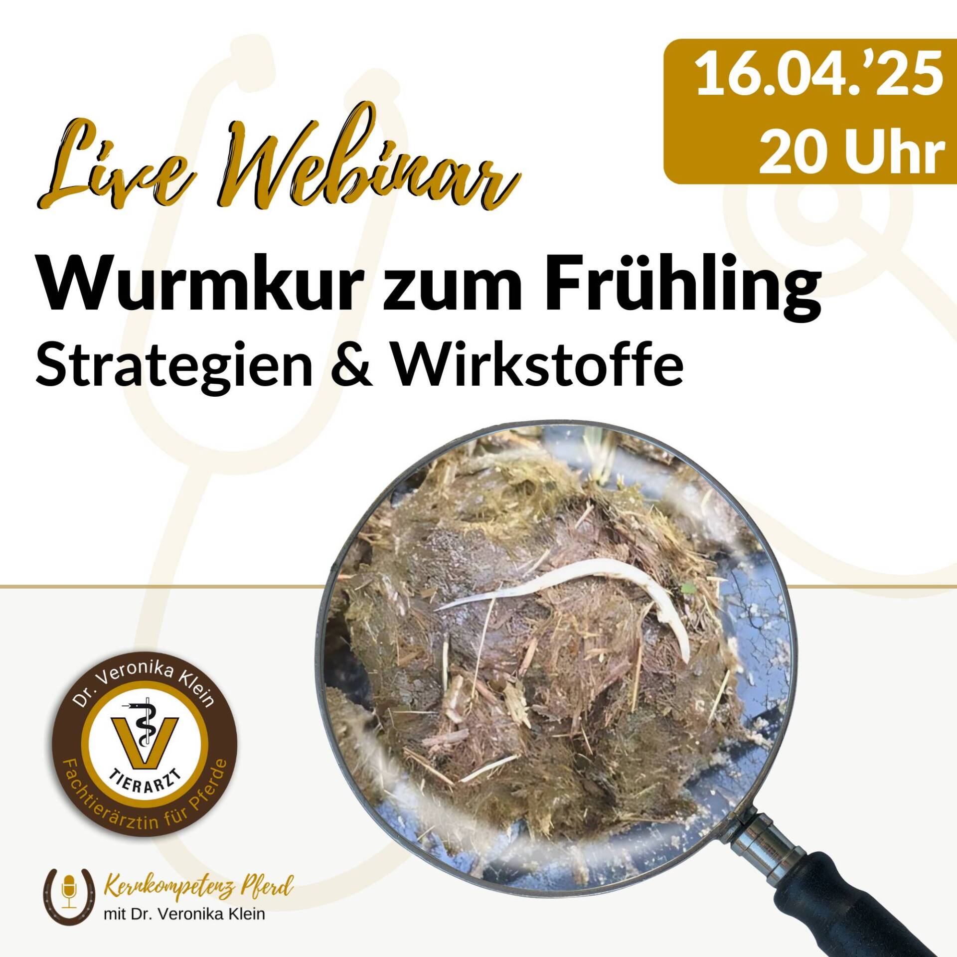 Kernkompetenz Pferd - Expertenwissen von Dr. Veronika Klein